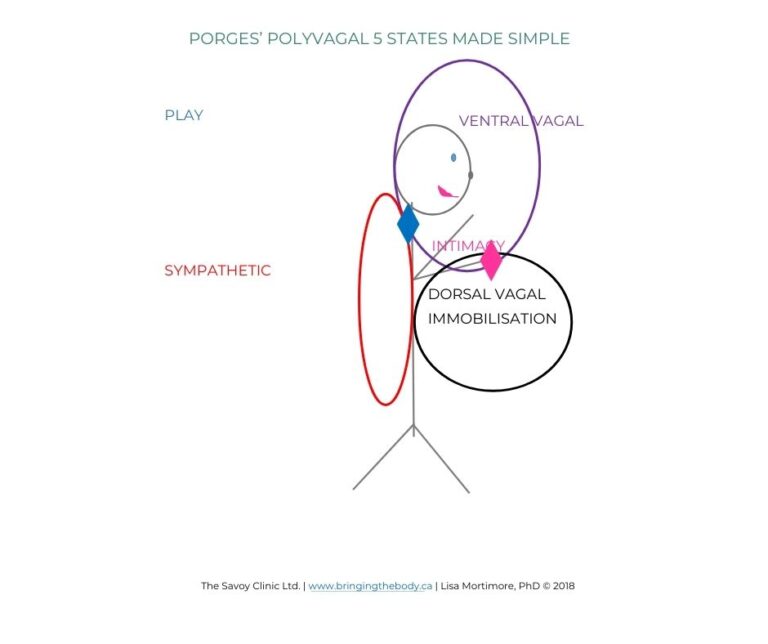 Understanding the Polyvagal Theory and how it Revolutionized Trauma ...